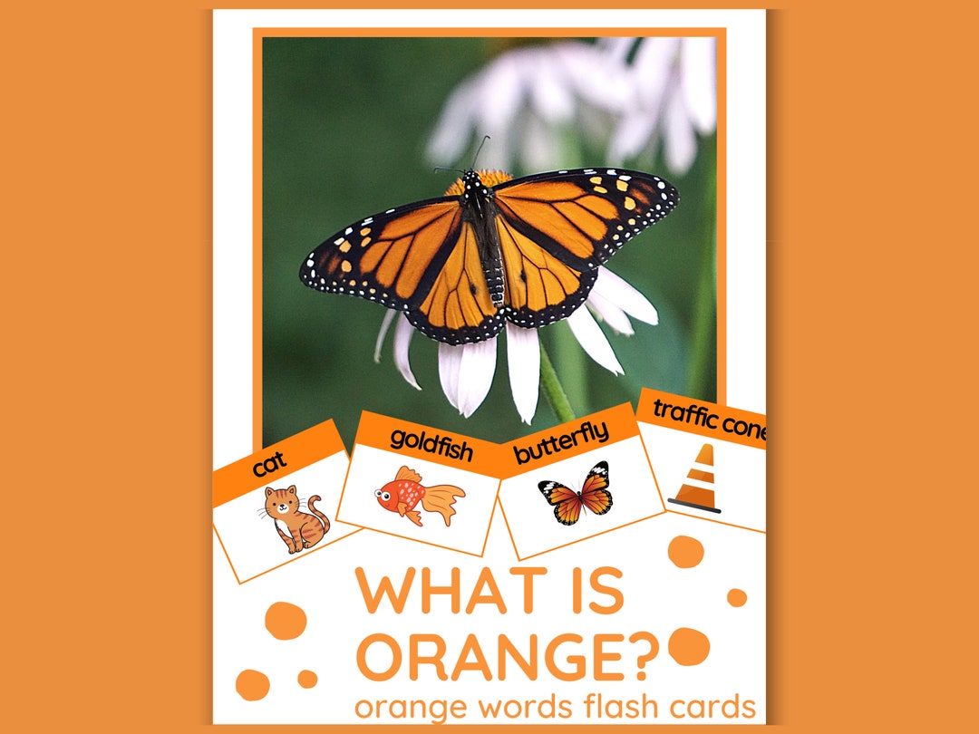 What Things Are Orange Set of 16 Orange Words Flashcards - Etsy