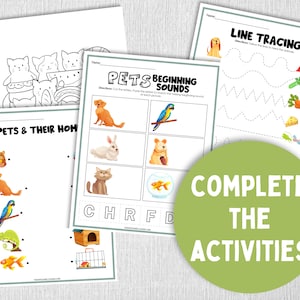 Pets Activity Printable - Fun, Educational Animal Worksheets (digital ...