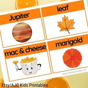 What Things Are Orange Set of 16 Orange Words Flashcards - Etsy