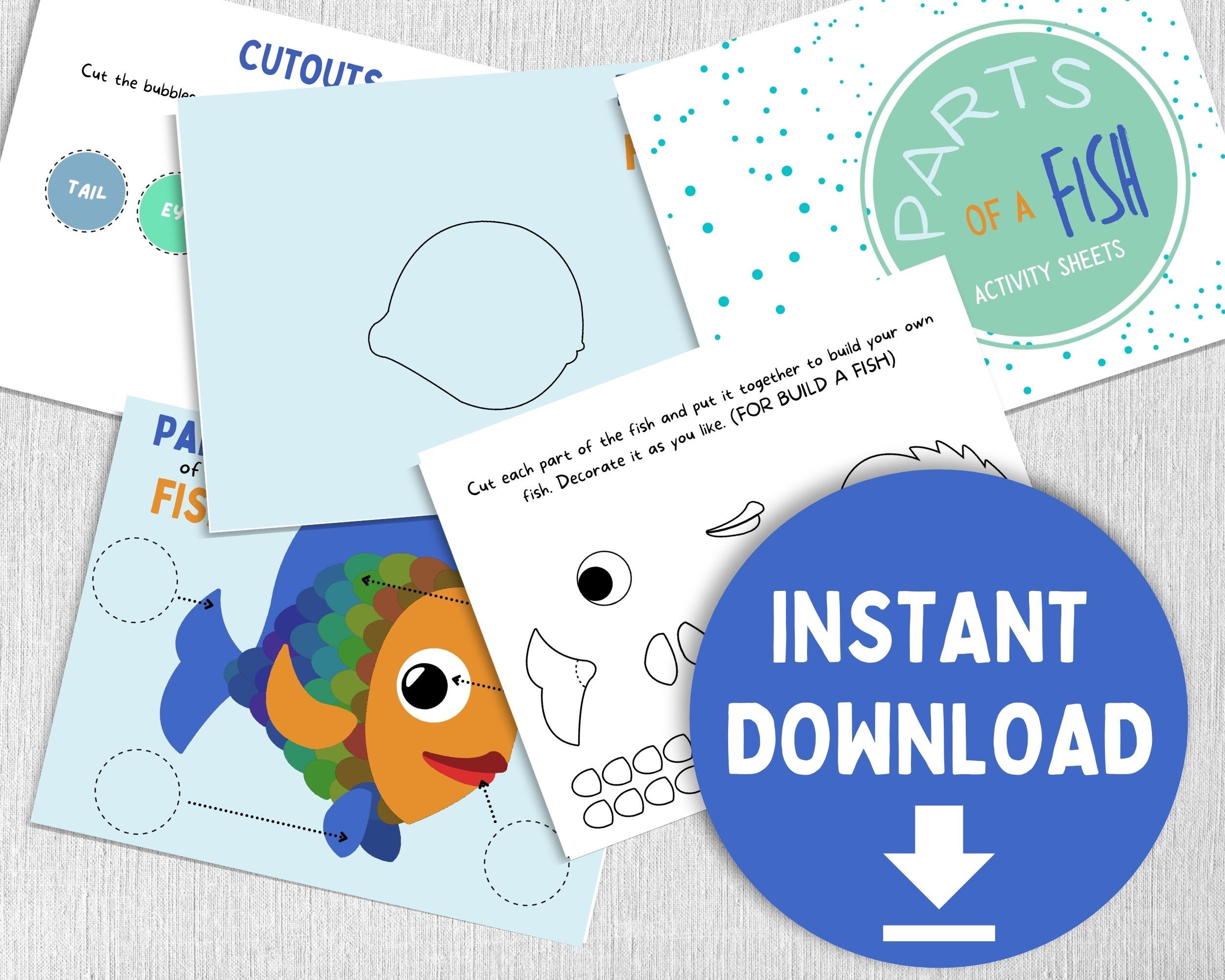 Parts Of A Fish Worksheet For Kids