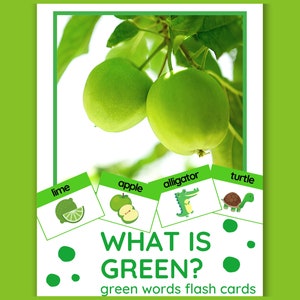 What Things Are Green? - Learning Colors Flashcards (digital PDF ...