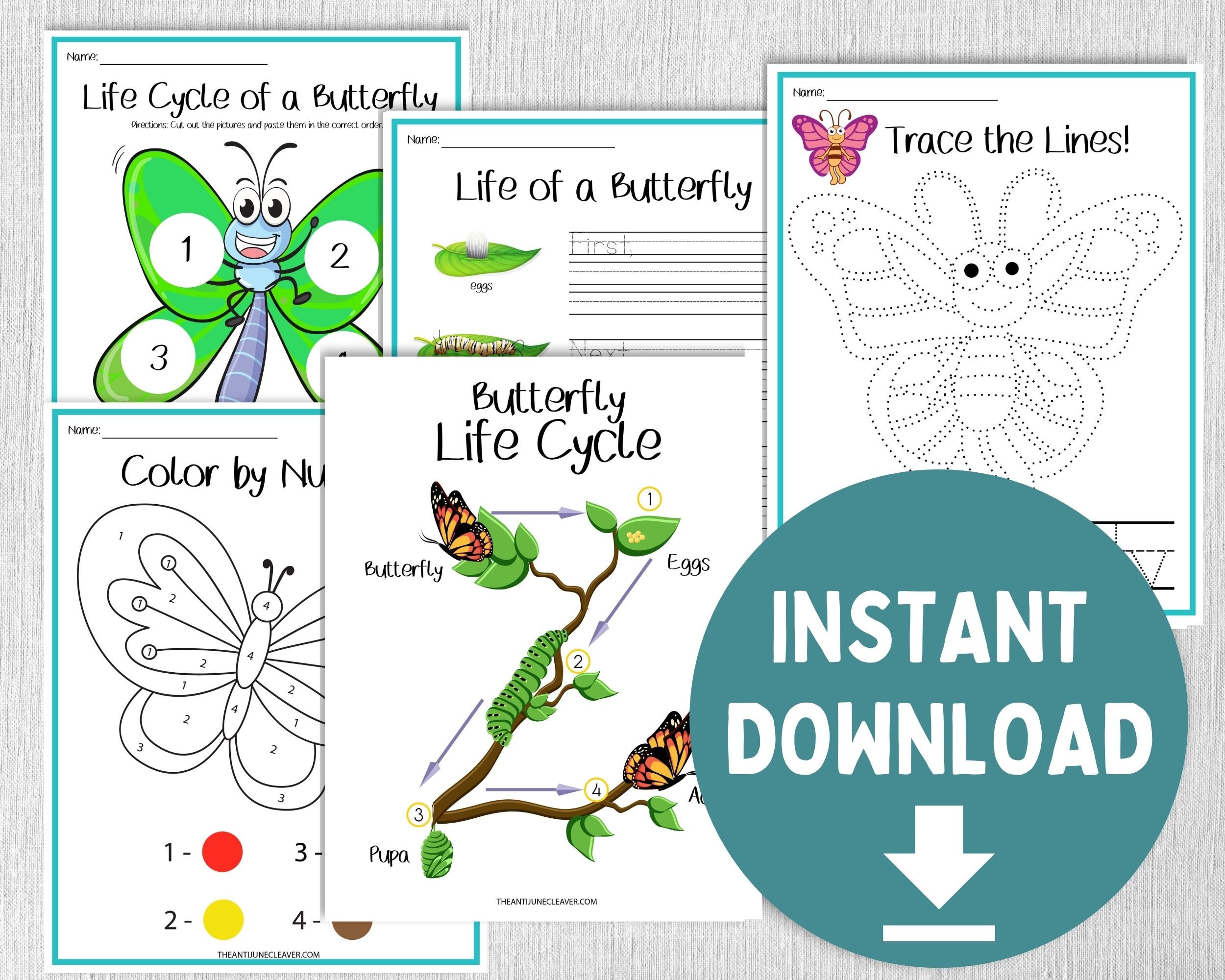 Butterfly Printable Worksheets for Kids - Educational Activities ...