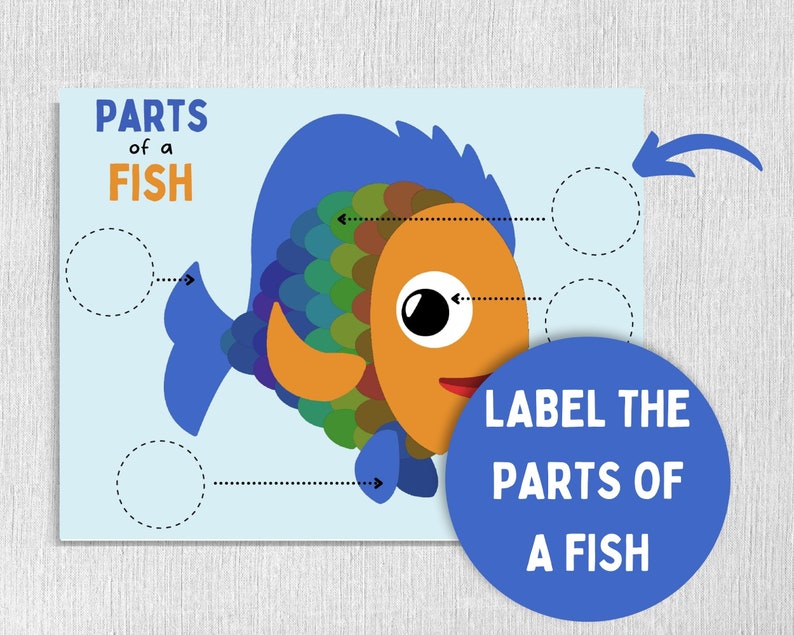 Parts Of A Fish Kids Activity Worksheet Printable Etsy Singapore