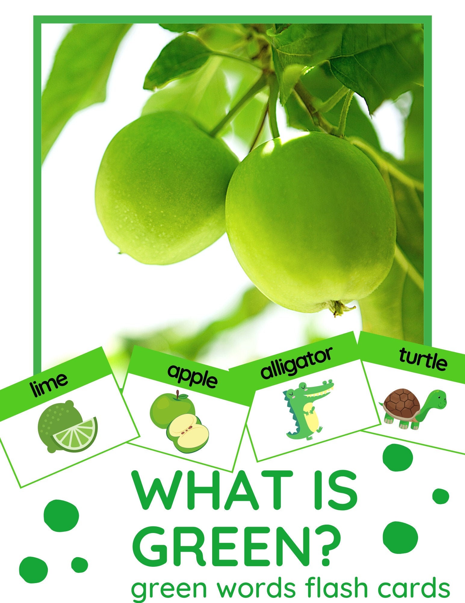 What Things are Green Set of 16 Green Words Flashcards | Etsy