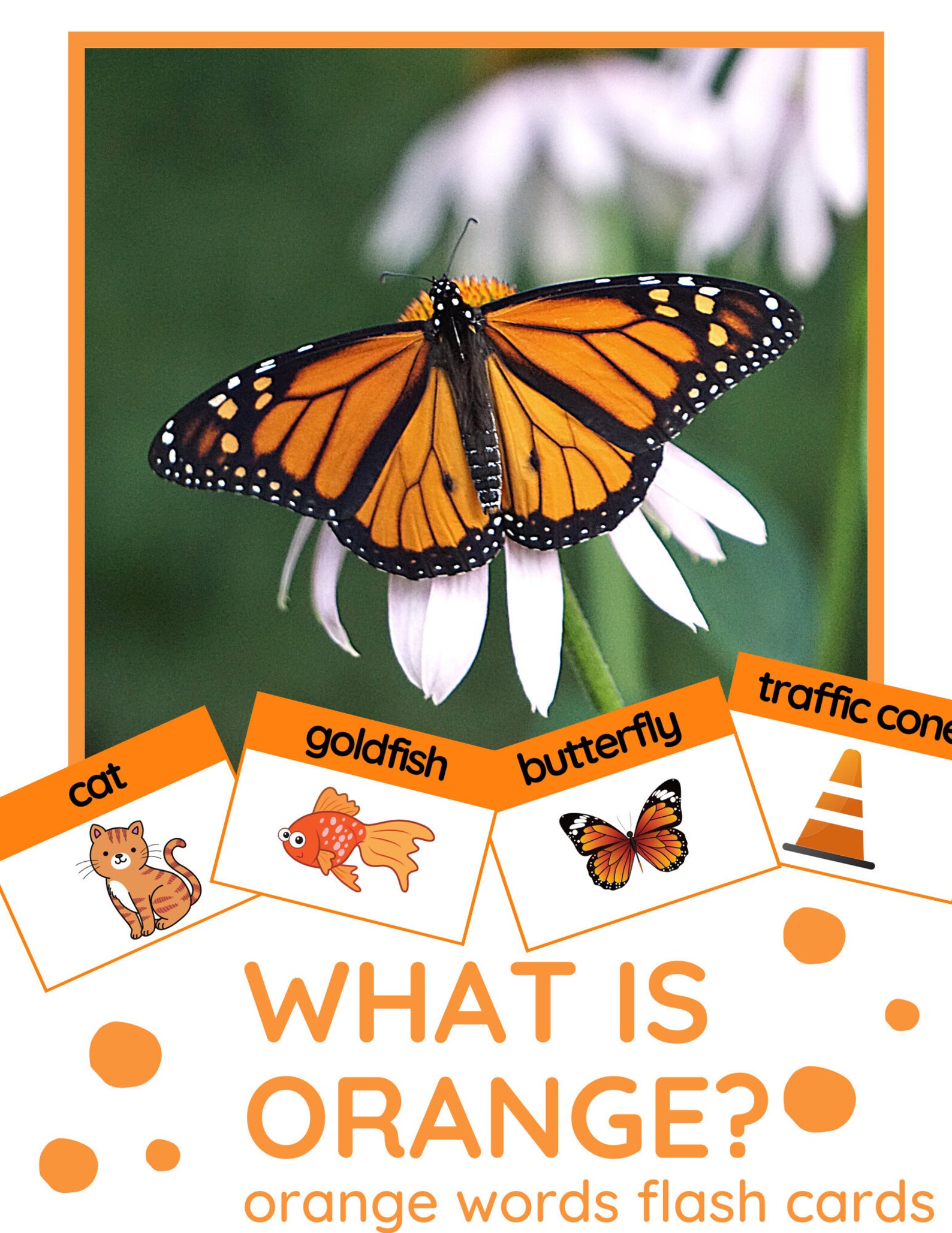 What Things are Orange Set of 16 Orange Words Flashcards | Etsy