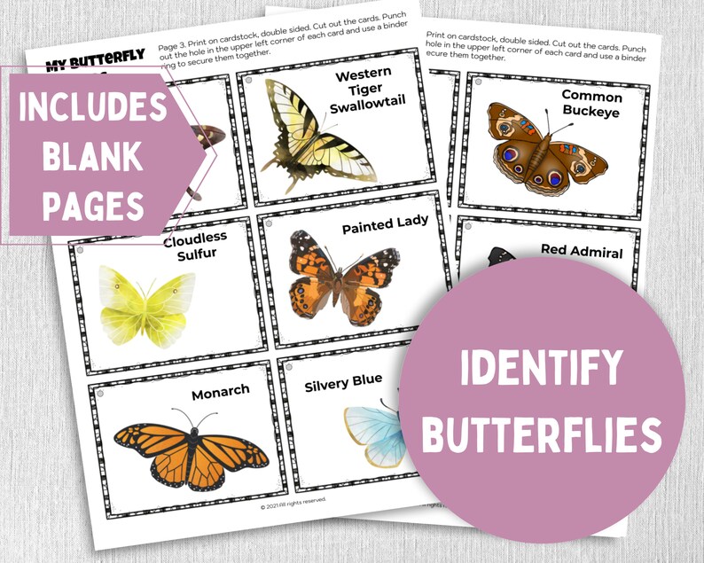 Butterfly Log Journal and ID Cards for Kids - Etsy
