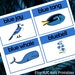 What Things Are Blue? - Learning Colors Flashcards (digital PDF ...