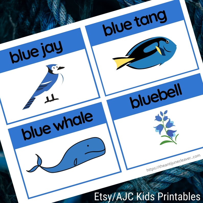What Things Are Blue? - Learning Colors Flashcards (digital PDF ...