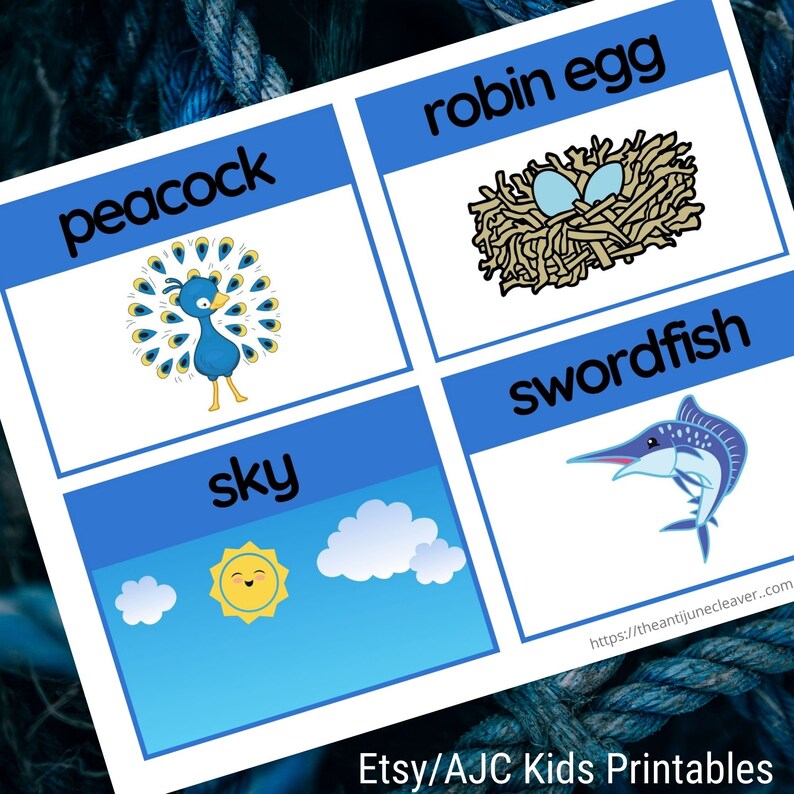 What Things Are Blue? - Learning Colors Flashcards (digital PDF ...