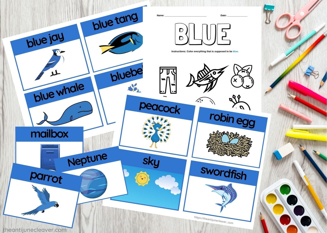 What Things Are Blue? - Learning Colors Flashcards (digital PDF ...
