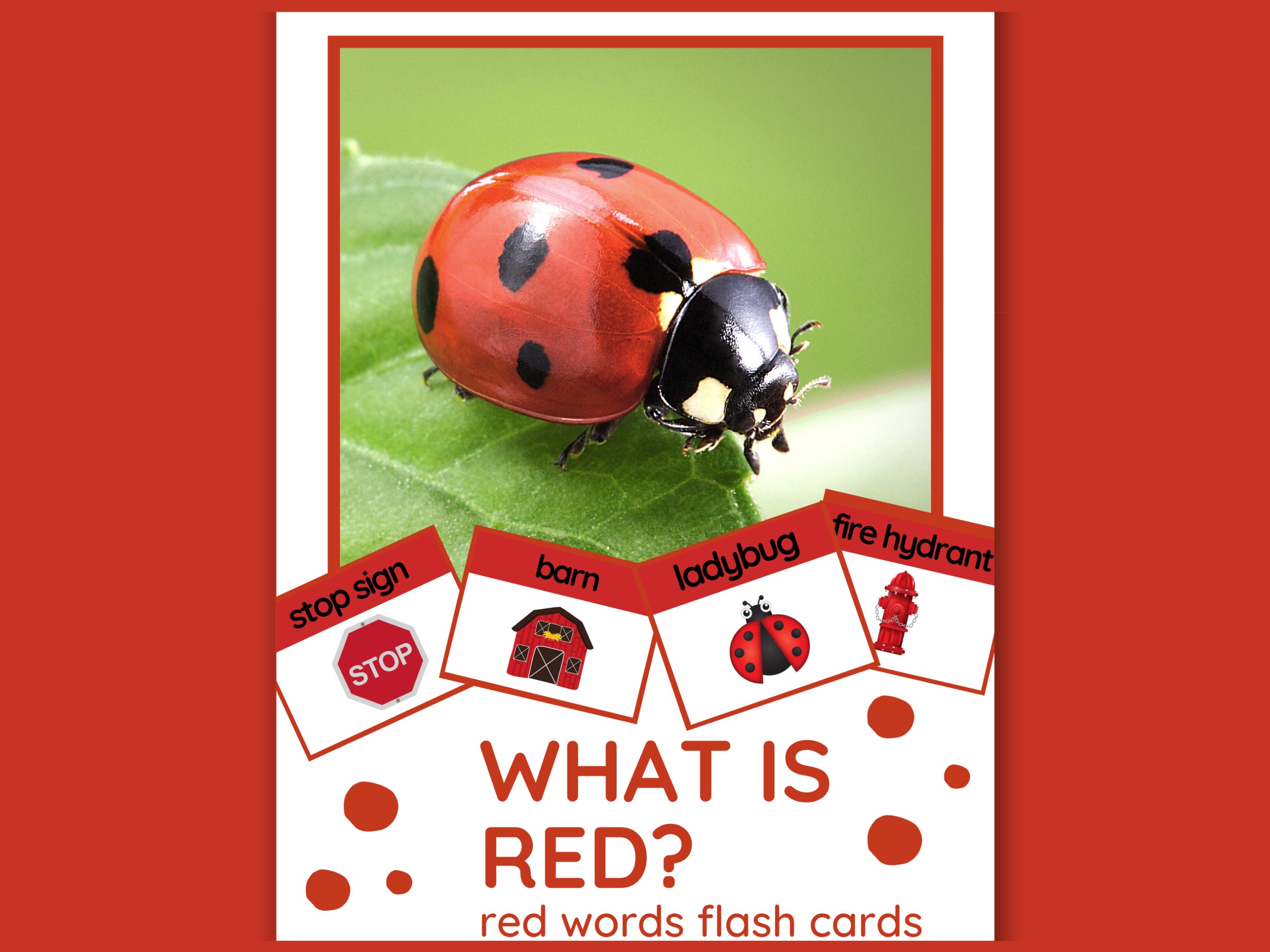 What Things Are Red Set of 16 Red Words Flashcards Educational ...