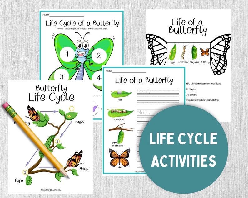 Butterfly Printable Worksheets for Kids - Educational Activities ...