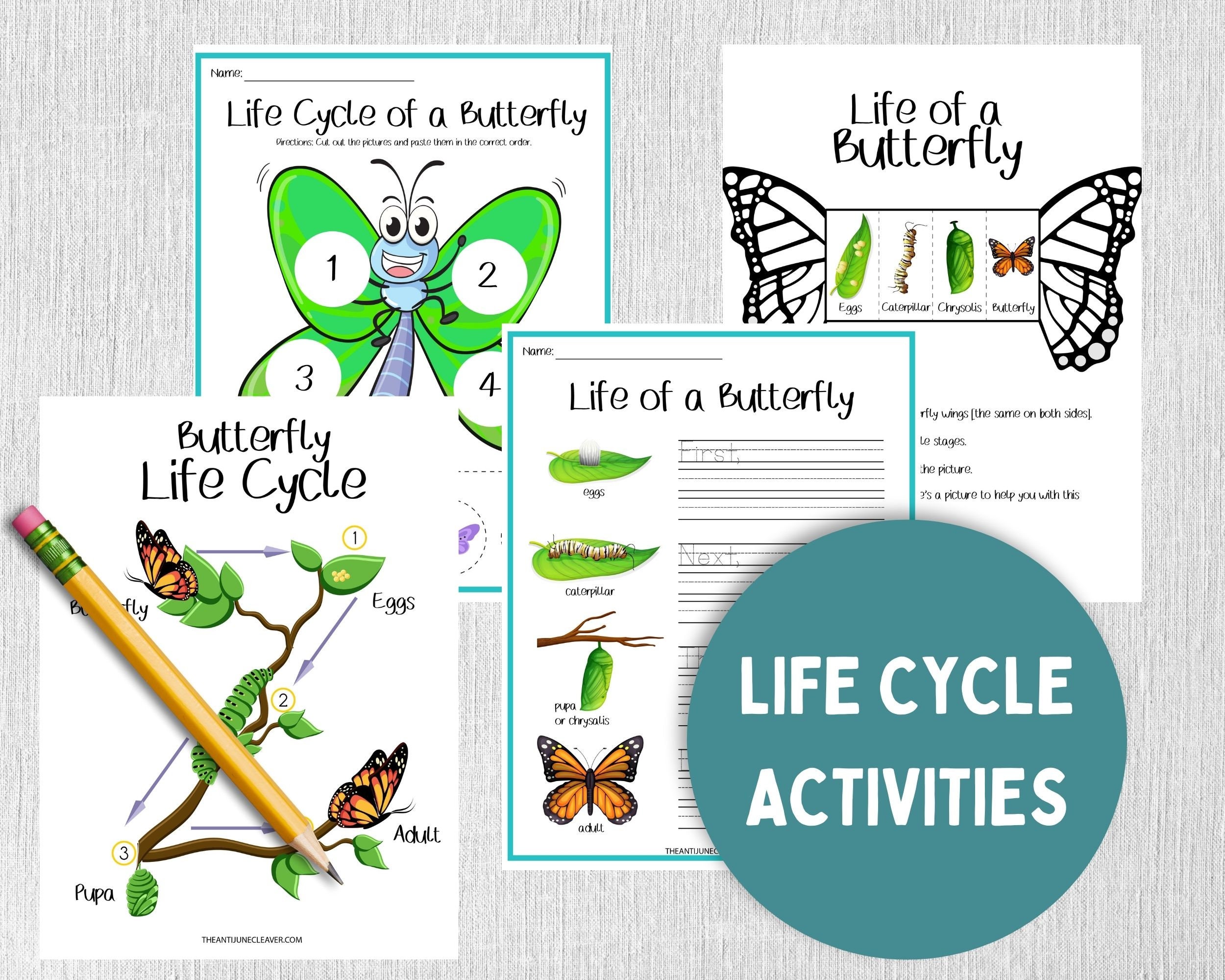 Butterfly Printable Worksheets for Kids - Educational Activities ...