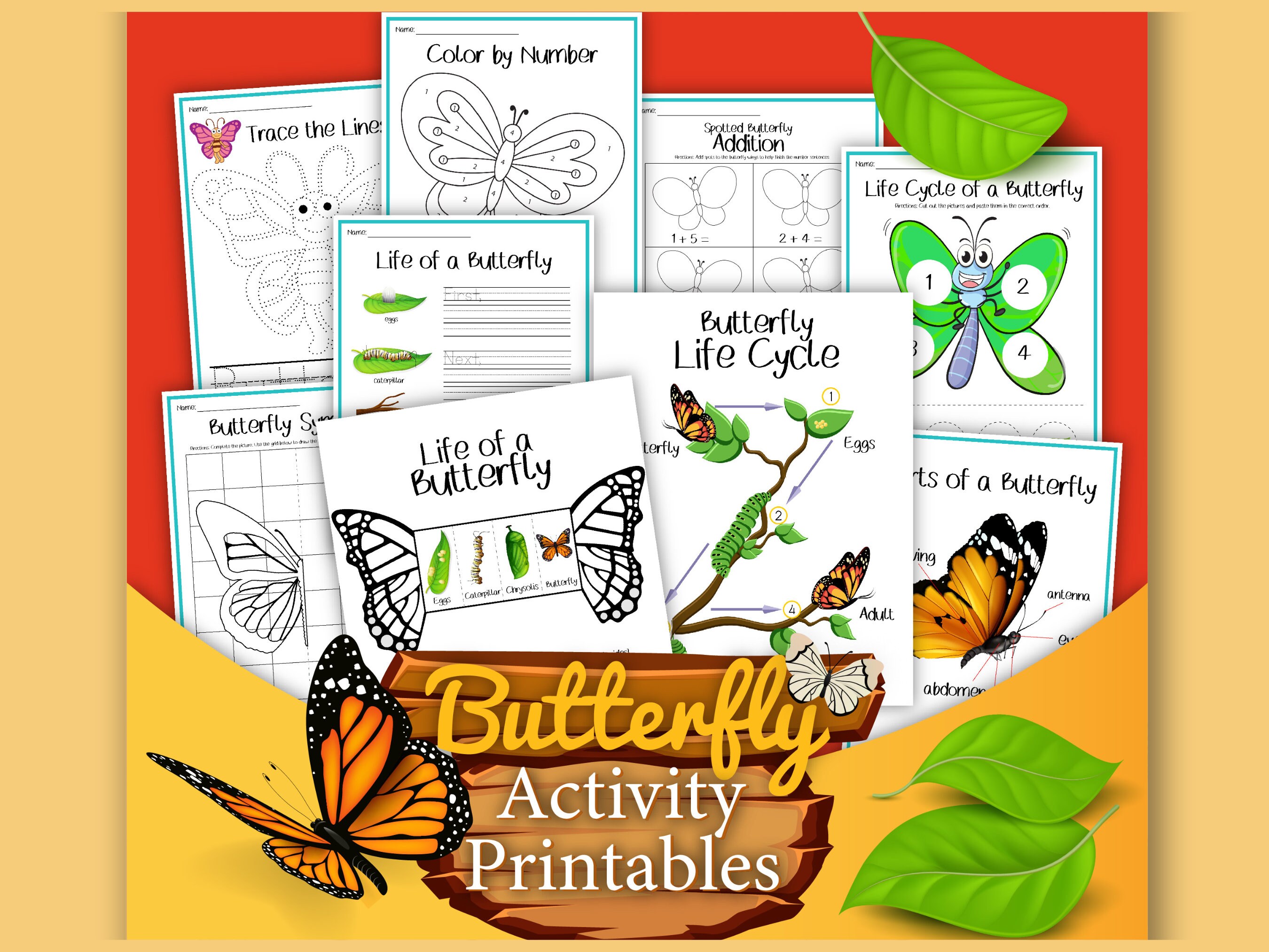 Life Cycle Of A Butterfly Worksheet First Grade