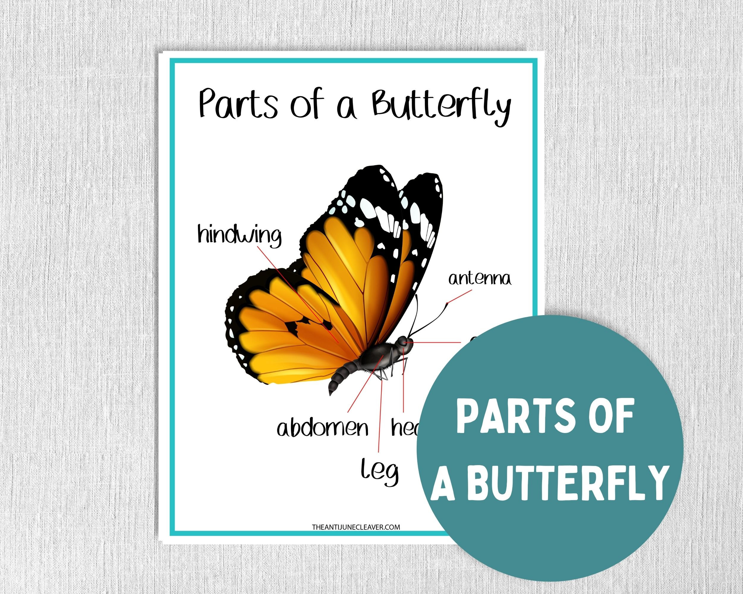 Butterfly Printable Worksheets for Kids - Educational Activities ...