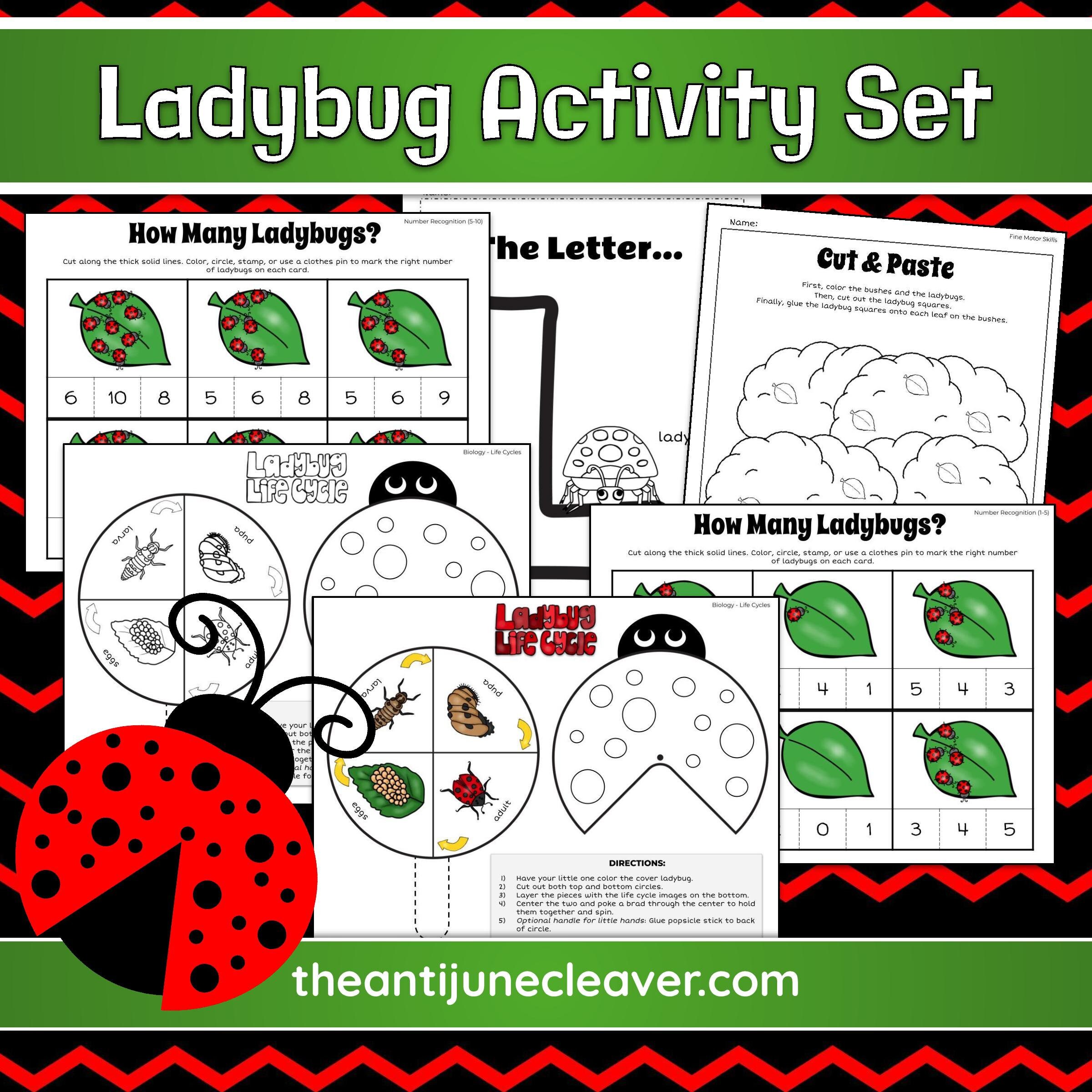 Ladybug Printable Worksheets for Kids Educational Activities | Etsy