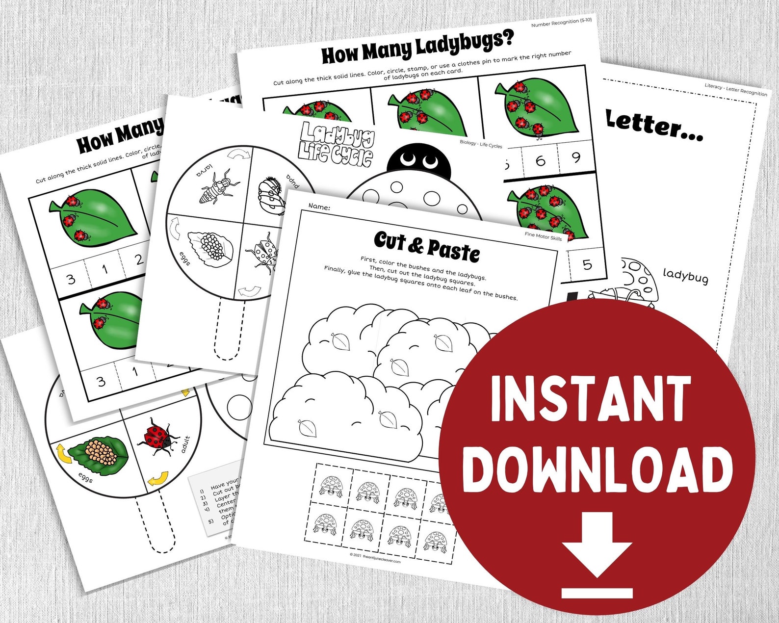 Ladybug Printable Worksheets for Kids - Educational Activities ...