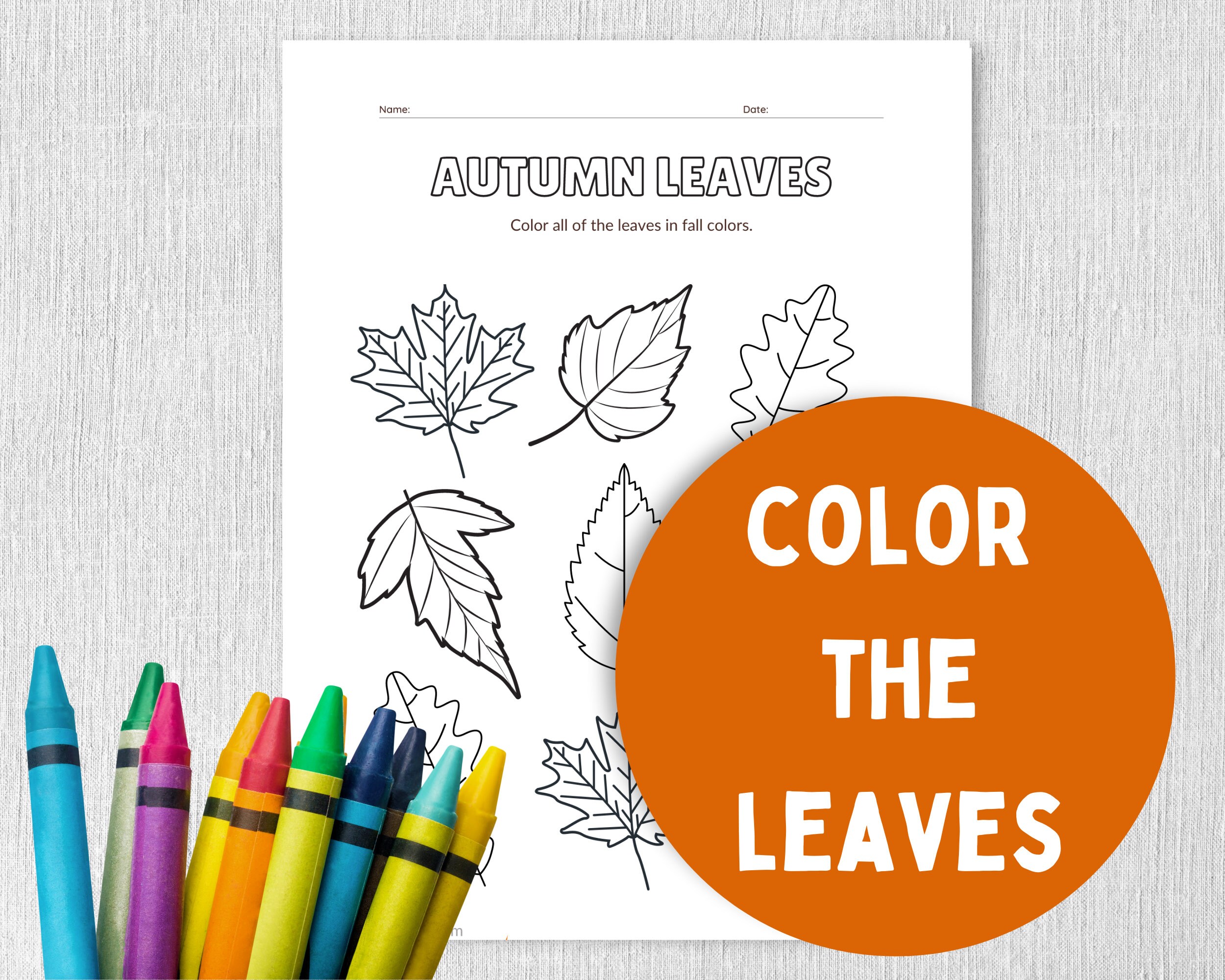 Autumn Printable Fall Activity Set for Kids - Fun and Educational ...