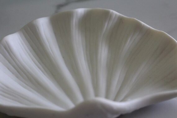 Clam Shell Little Dish, Tray, Catch all - Gem