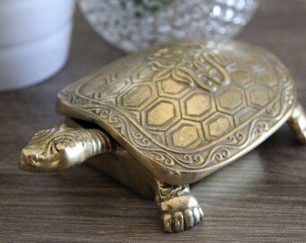 Turtle Shelf - Etsy