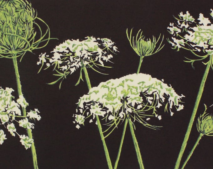 Queen Anne's Lace - Etsy