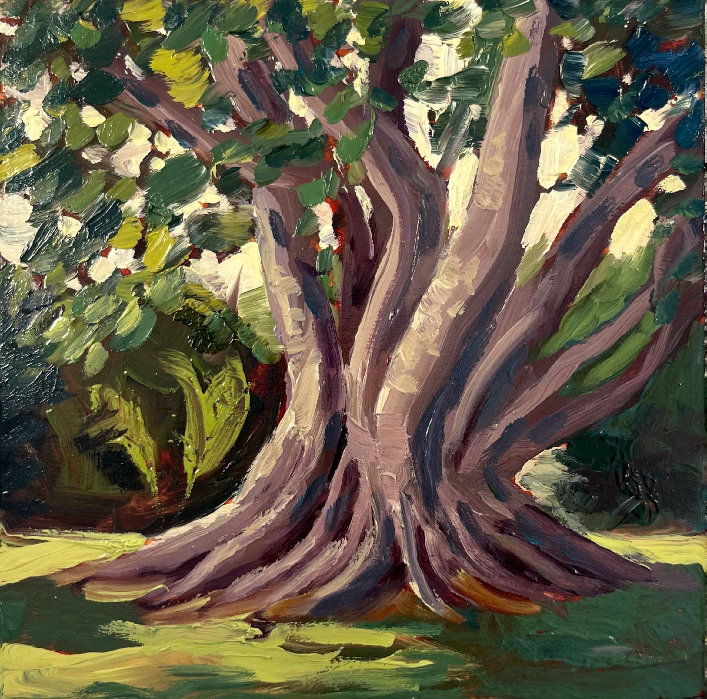 Oil Painting "mysore Fig Tree at Shangri La” Miniature Tree Painting - Etsy