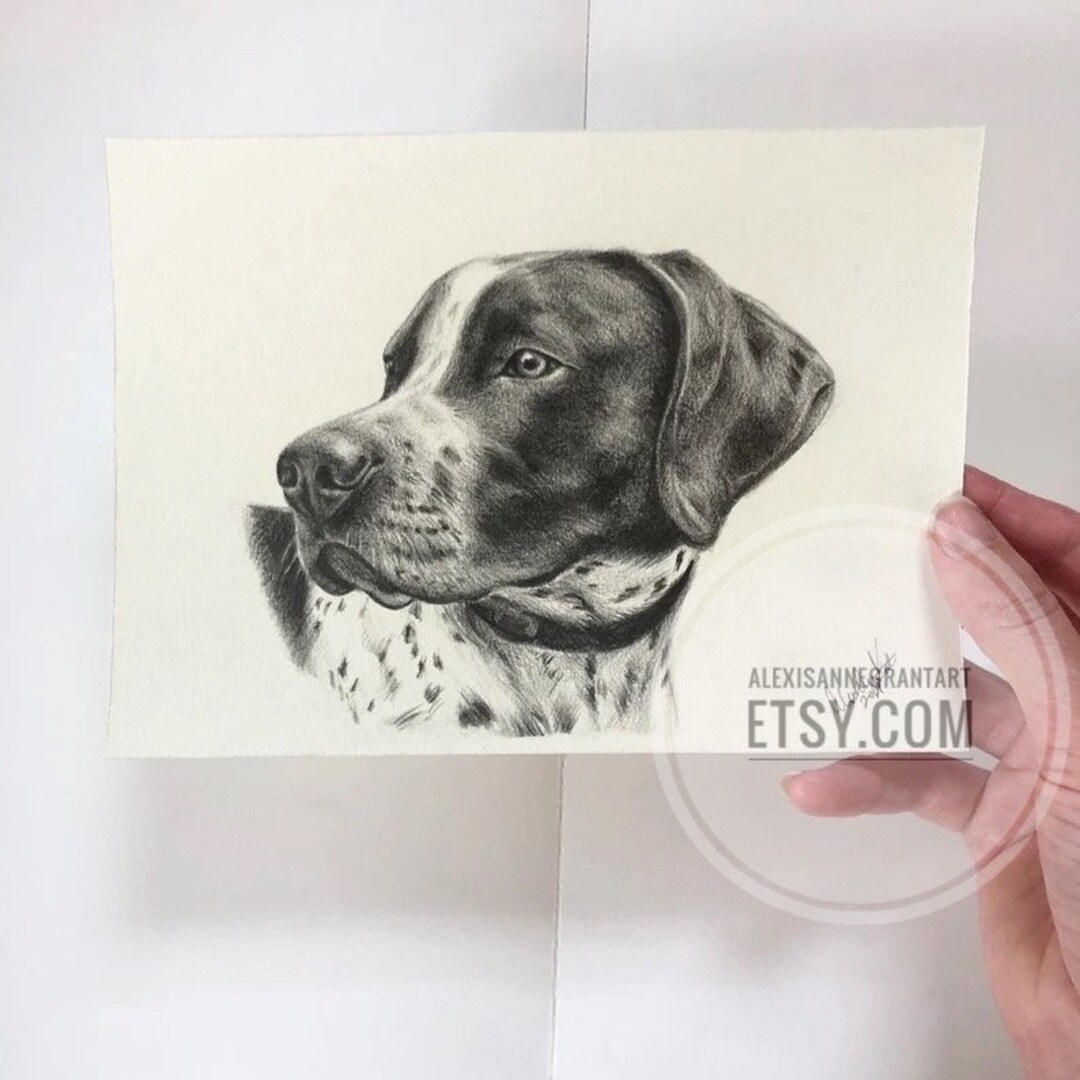 Pet Drawing Custom Art Pencil Drawing Dog Drawing Pet Portrait Cat ...