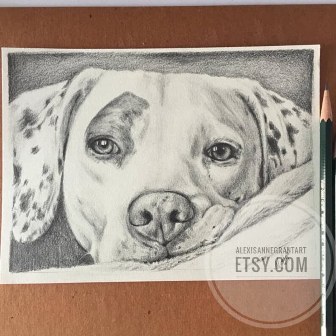 Custom Graphite Pet Portrait: Hand-drawn Dog Art From Photo - Etsy