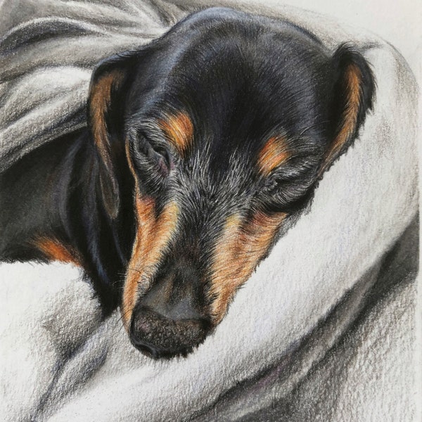 Dog Portraits Pencil - Etsy