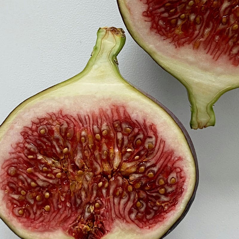 Strawberry Verte Fig Tree - Etsy