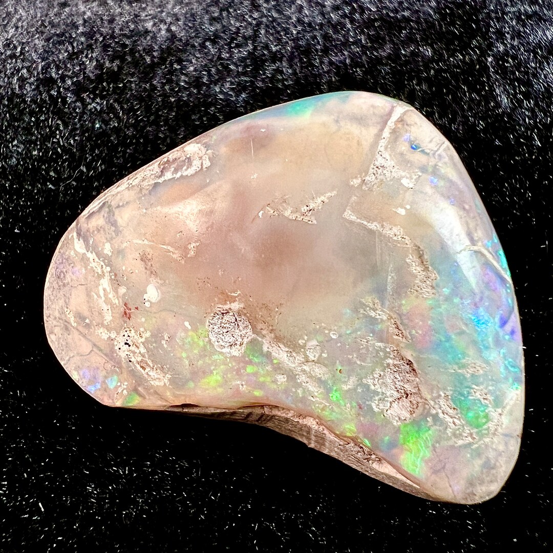 Opalized Shell (australian) - Etsy