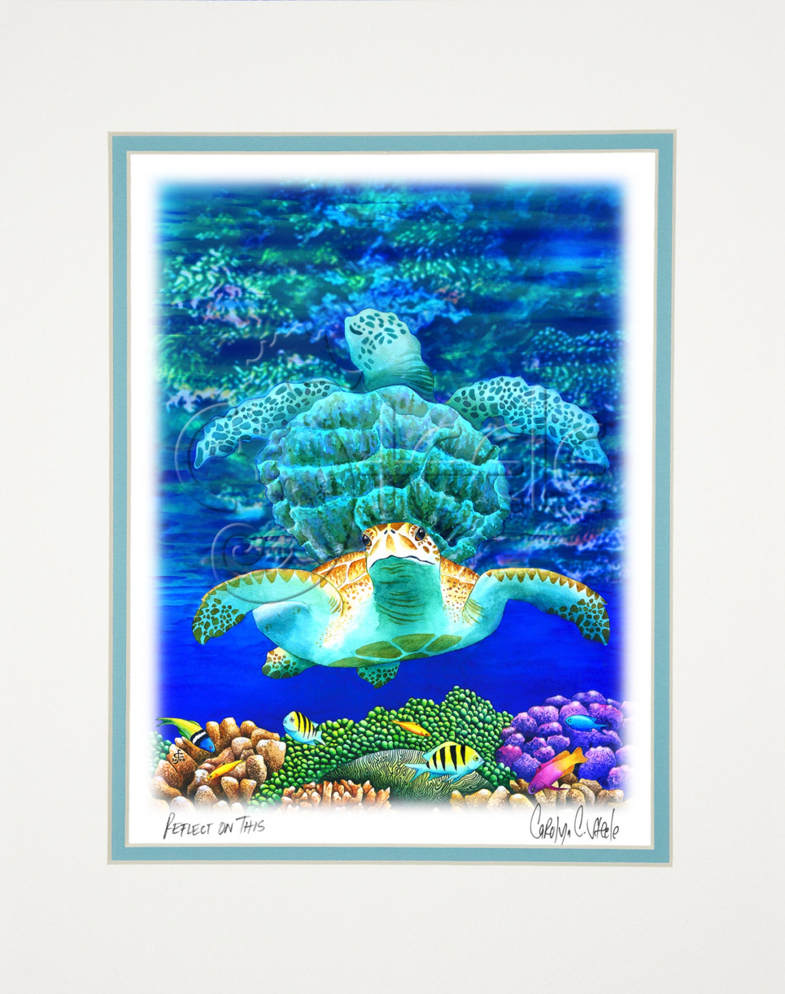 Carolyn Steele Tropical Art Print Green Sea Turtle - Etsy