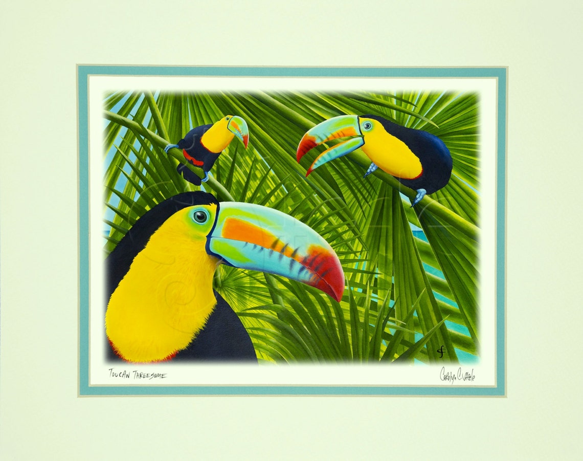Tropical Art Print With Three Toucans: Toucan Threesome - Etsy