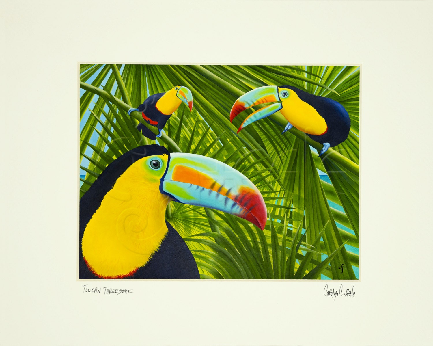 Tropical Art Print With Three Toucans: Toucan Threesome - Etsy