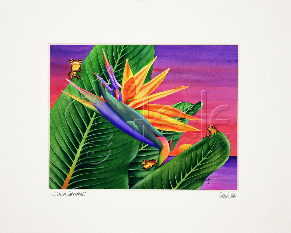 Carolyn Steele Tropical Art Print, Cute Tree Frogs, Colorful Exotic ...
