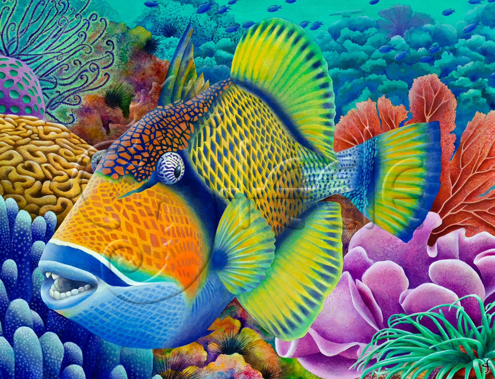 Tropical Art Print Titan Triggerfish - Etsy