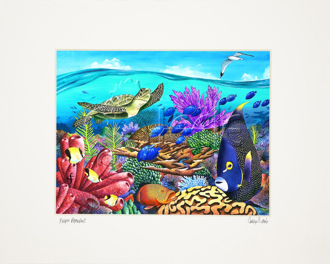 Carolyn Steele Painting Tropical Art Print, Over/under Scene, Caribbean ...