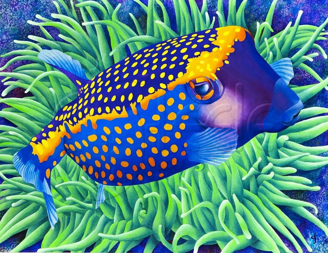 Carolyn Steele Tropical Art Print - Spotted Boxfish: "boxfish Berthold ...