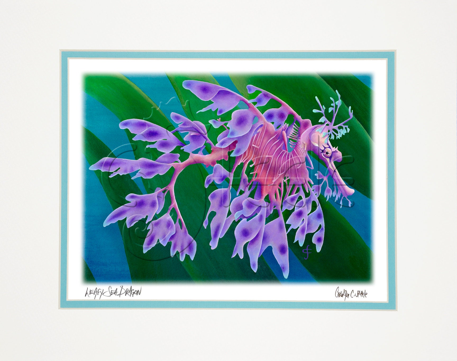 Leafy Sea Dragon - Etsy