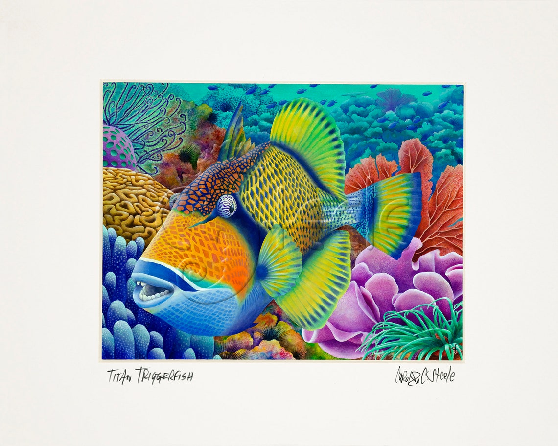 Tropical Art Print Titan Triggerfish - Etsy