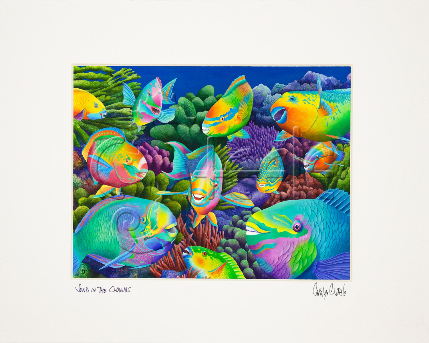Carolyn Steele Art Print of Colorful Parrotfish: Send in the Clowns - Etsy