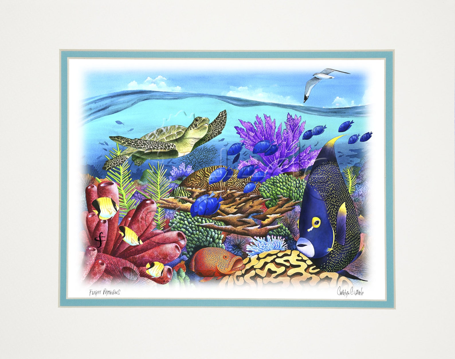 Carolyn Steele Painting Tropical Art Print, Over/under Scene, Caribbean ...