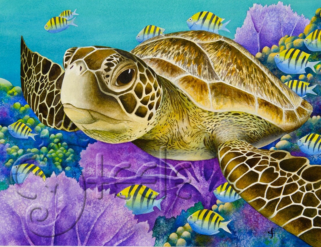 Carolyn Steele Tropical Art Print, Close-up Soulful Sea Turtle: "young ...