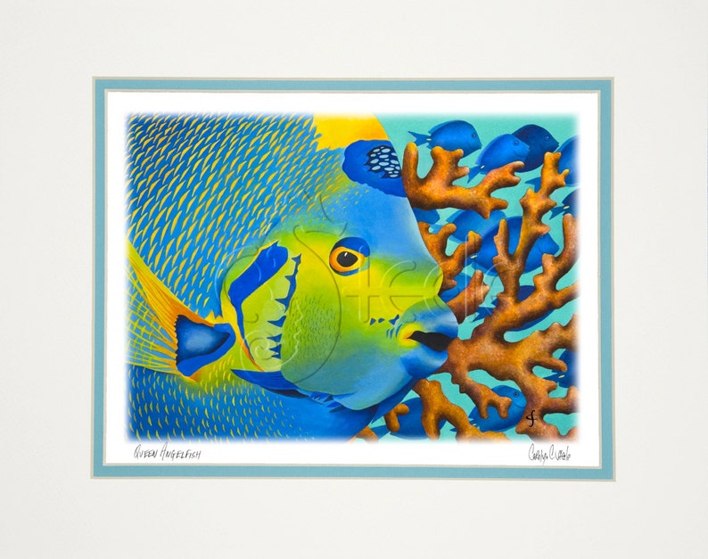 Carolyn Steele Painting Tropical Art Print Queen Angelfish - Etsy