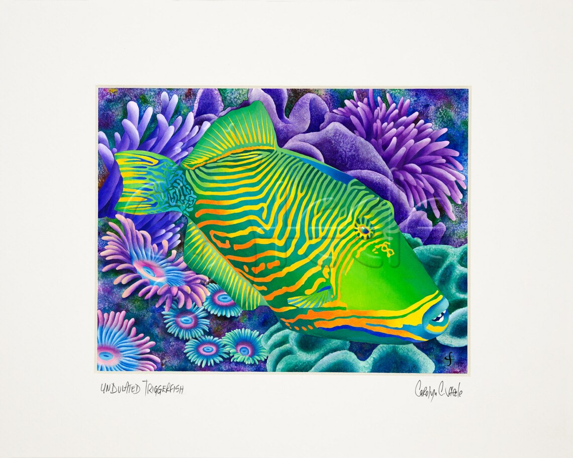 Carolyn Steele Tropical Art Print Scuba & Snorkel Coral - Etsy