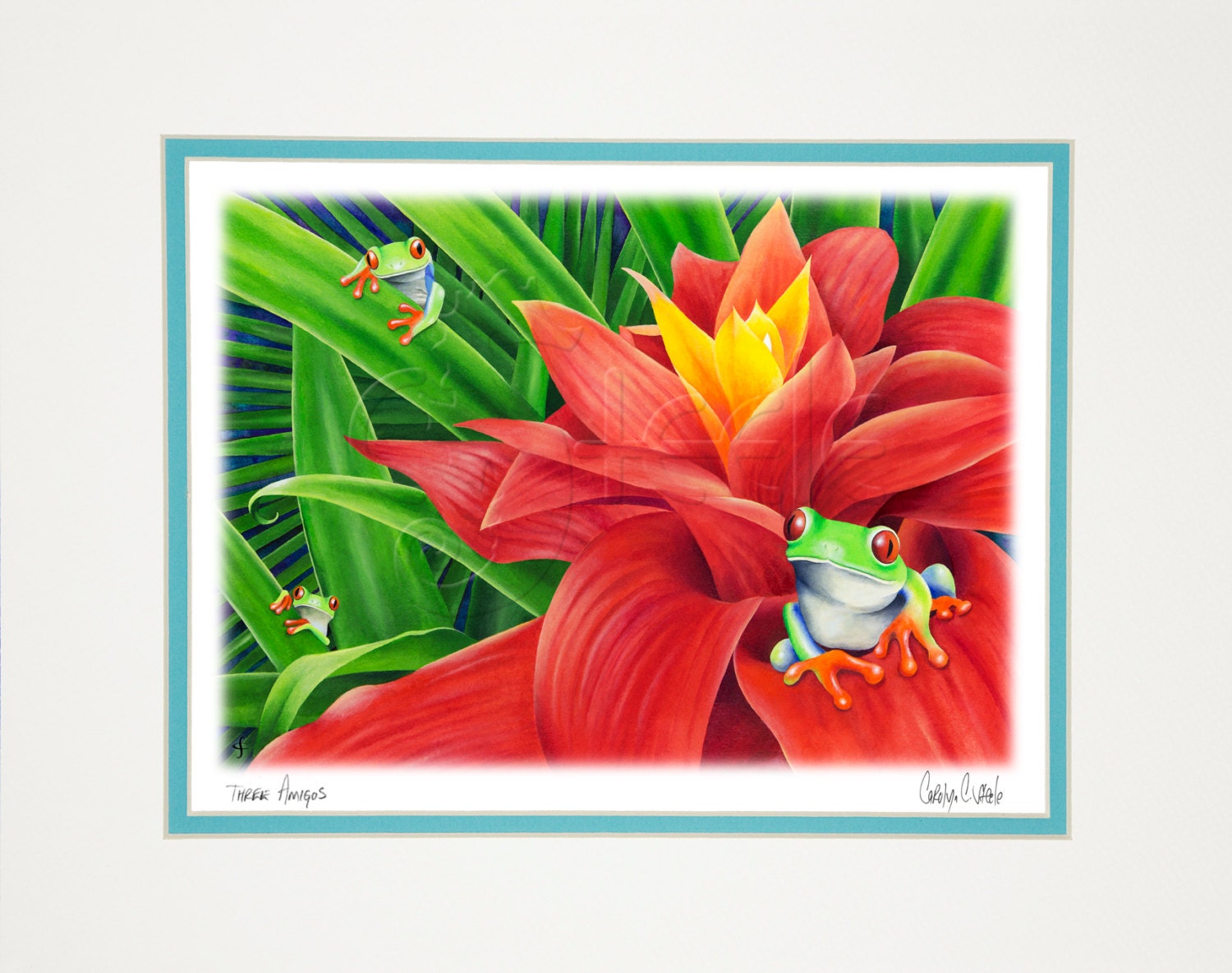 Tropical Art Print - Green Tree Frogs: "three Amigos" - Etsy