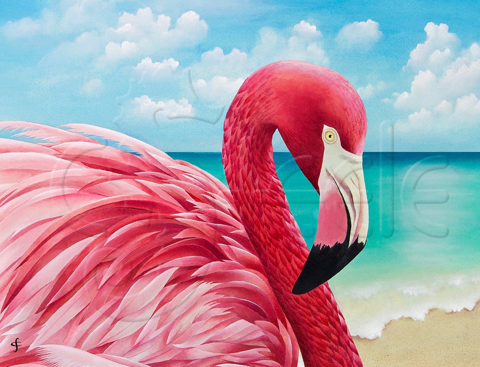 Tropical Beach, Sunshine, Caribbean, Florida, Aqua Water, Gentle Surf ...