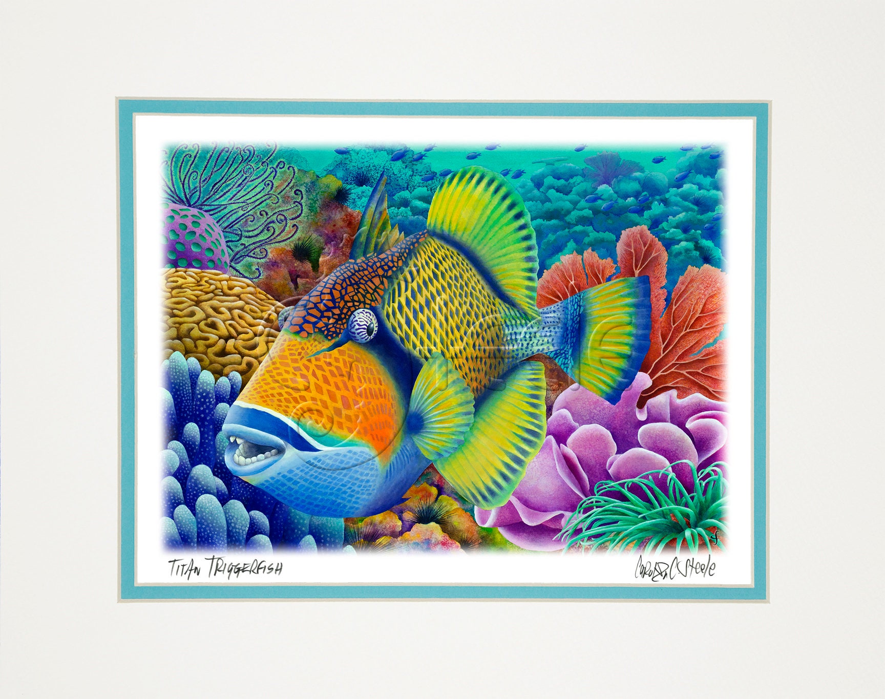 Tropical art print Titan Triggerfish | Etsy