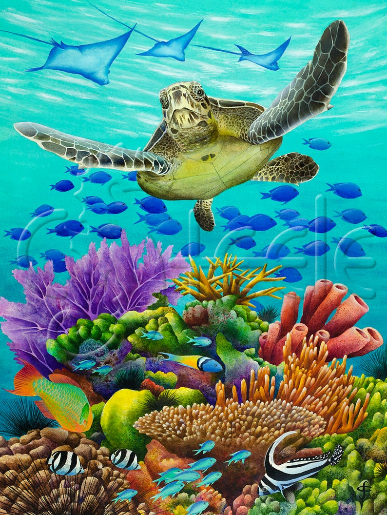 Hawksbill Turtle, Eagle Rays, Flying Over Reef: wings - Etsy