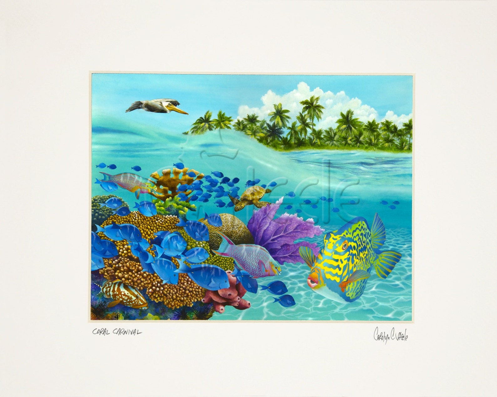 Carolyn Steele Tropical Art Print, Caribbean Over/under Coral Reef ...